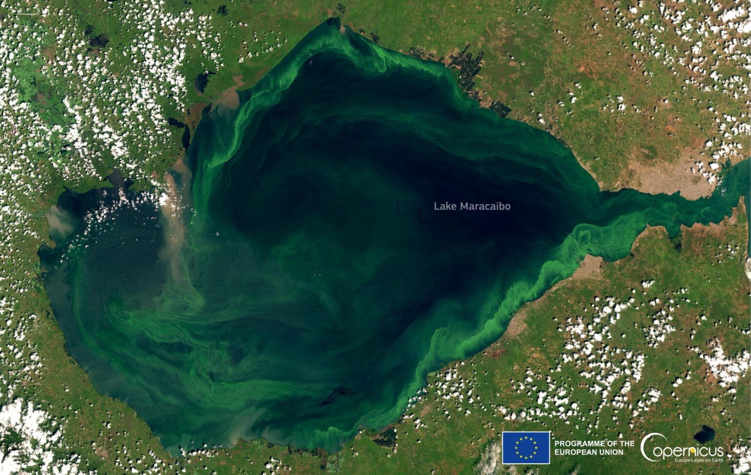 El “verdín” en el Lago de Maracaibo abarca 70 % de sus aguas y se ve ...